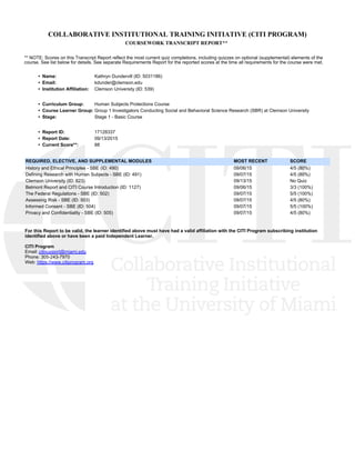 Citi completionreportdundervill | PDF