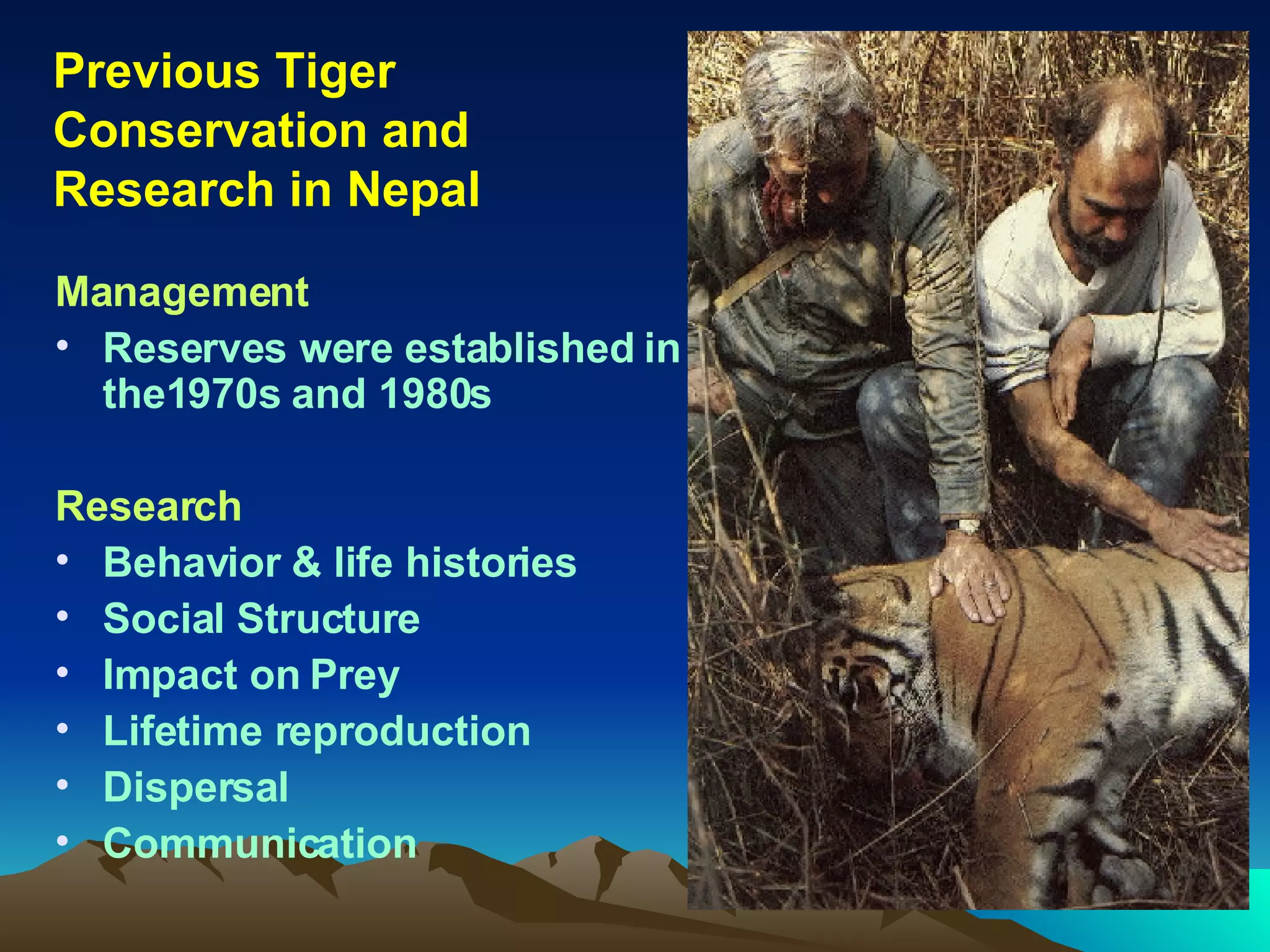 Citizen Tiger Rangers | PPT