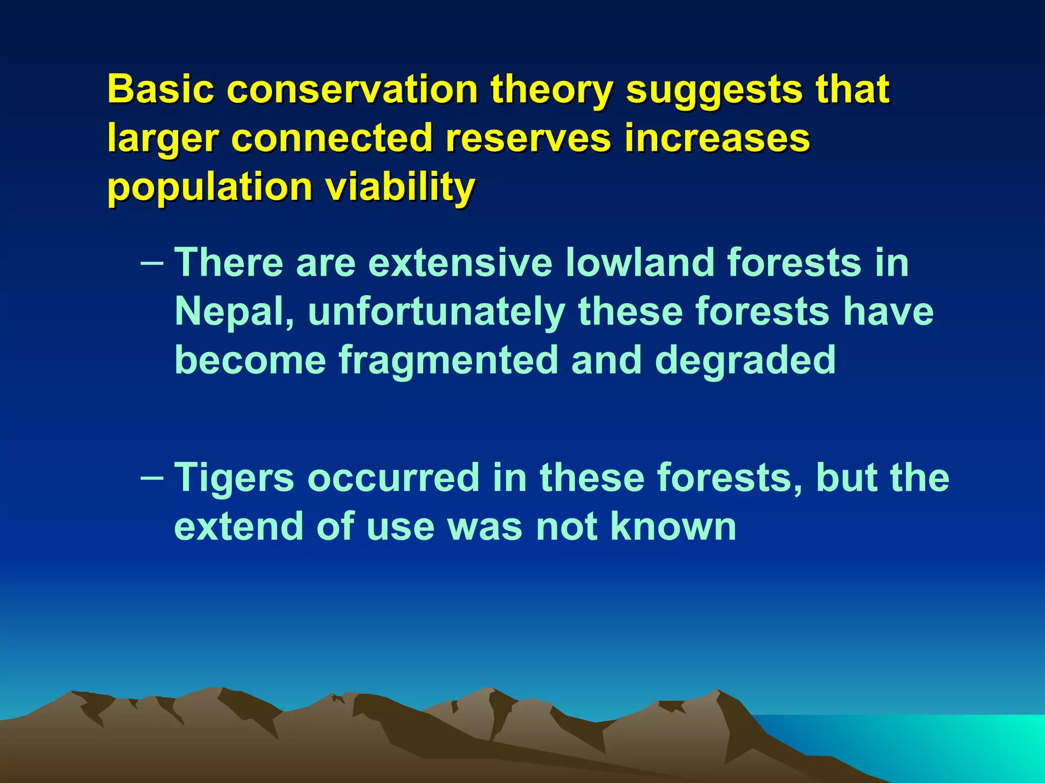 Citizen Tiger Rangers | PPT