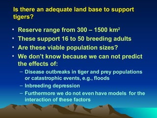 Citizen Tiger Rangers | PPT