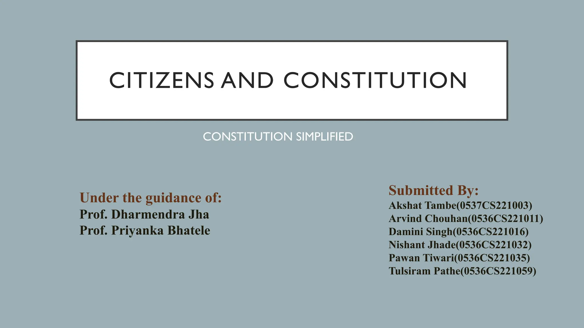 Citizens_and_________constitution[1].pptx