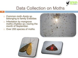 Be a Scientist for a Day: A Citizen Science Project for Biodiversity ...