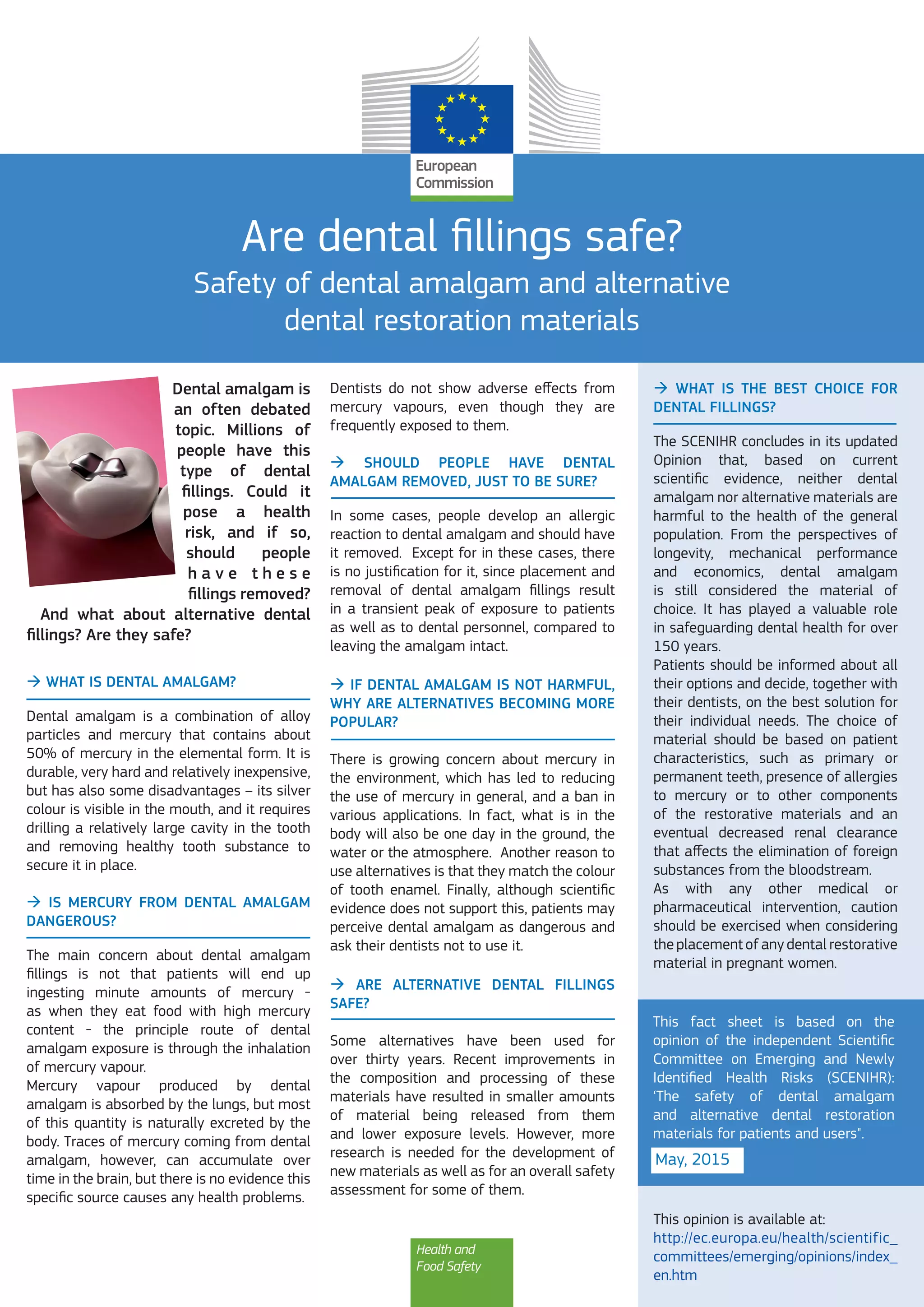 Are dental fillings safe? | PDF