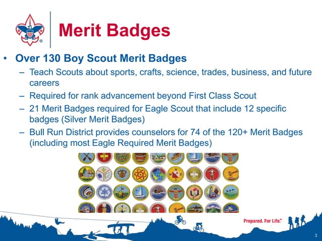 Citizenship in the Community Merit Badge Class Instructor Presentation ...