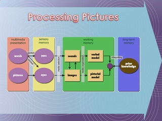 Cognitive Theory of Multimedia Learning | PPTX