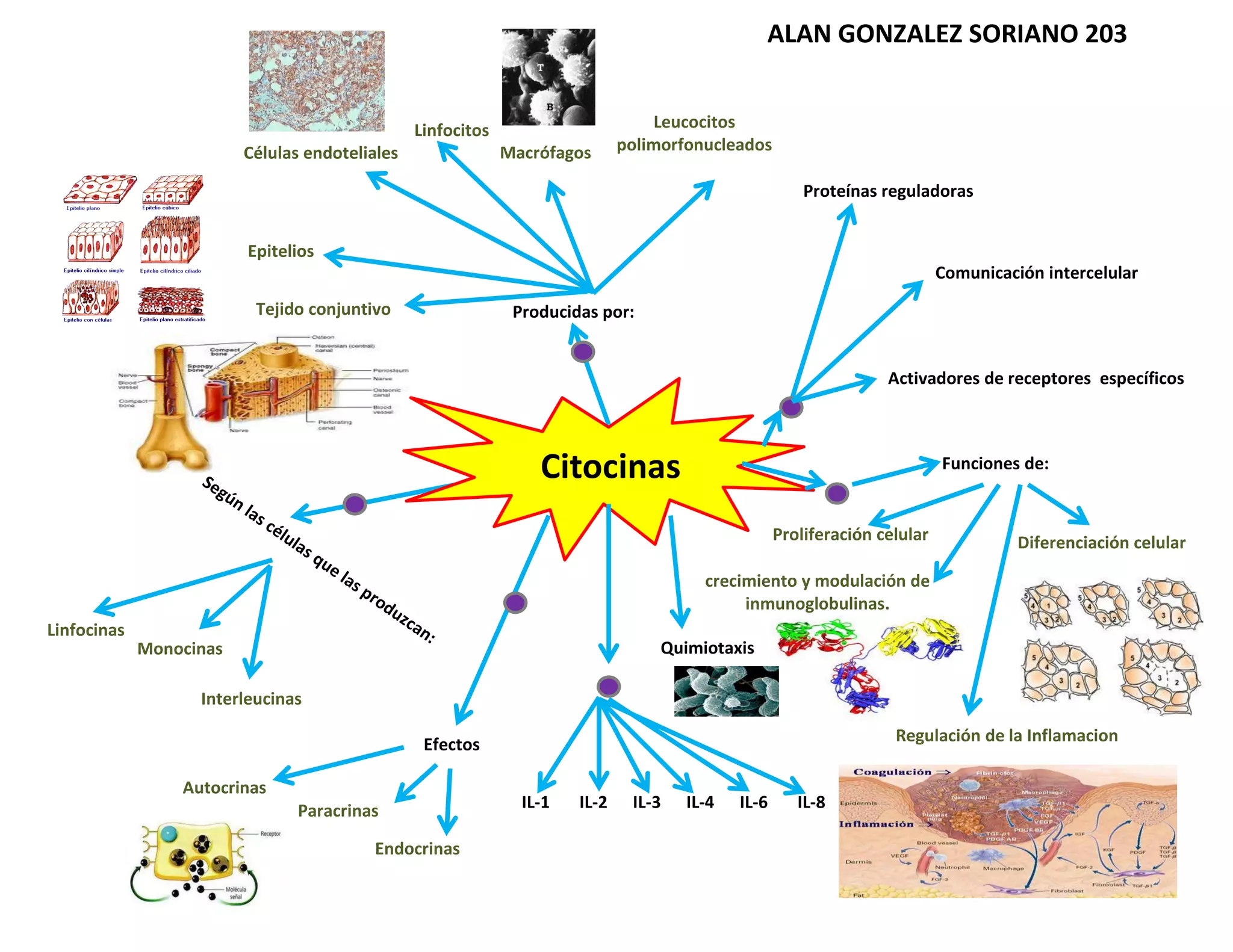 Citocinas | PDF
