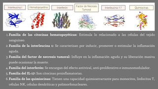 CITOCINAS - INMUNOLOGÍA.pdf