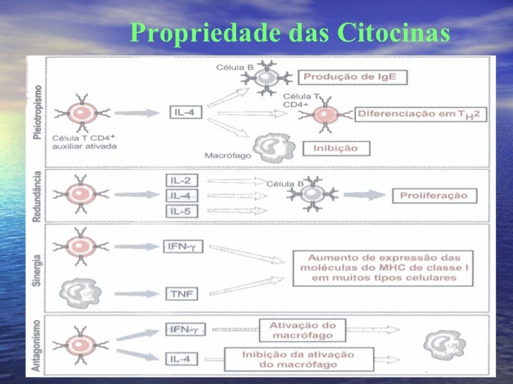 Citocinas