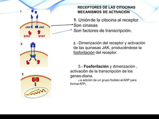 citocinas y quimiocinas}.pptx