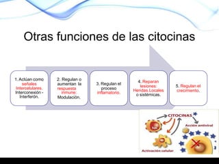 citocinas y quimiocinas}.pptx