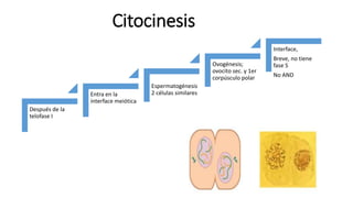 Citocinesis | PPTX