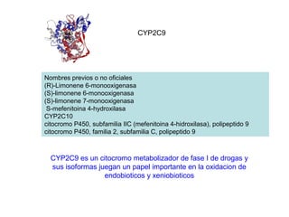 Citocromo p450 | PPT