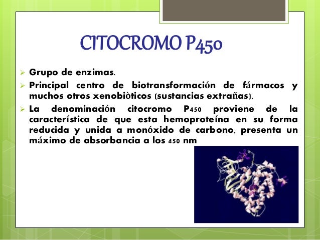 Citocromo p450, P450, isoenzimas