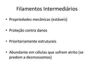 Citoesqueleto | PPTX