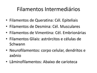 Citoesqueleto | PPTX