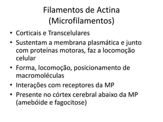 Citoesqueleto | PPTX