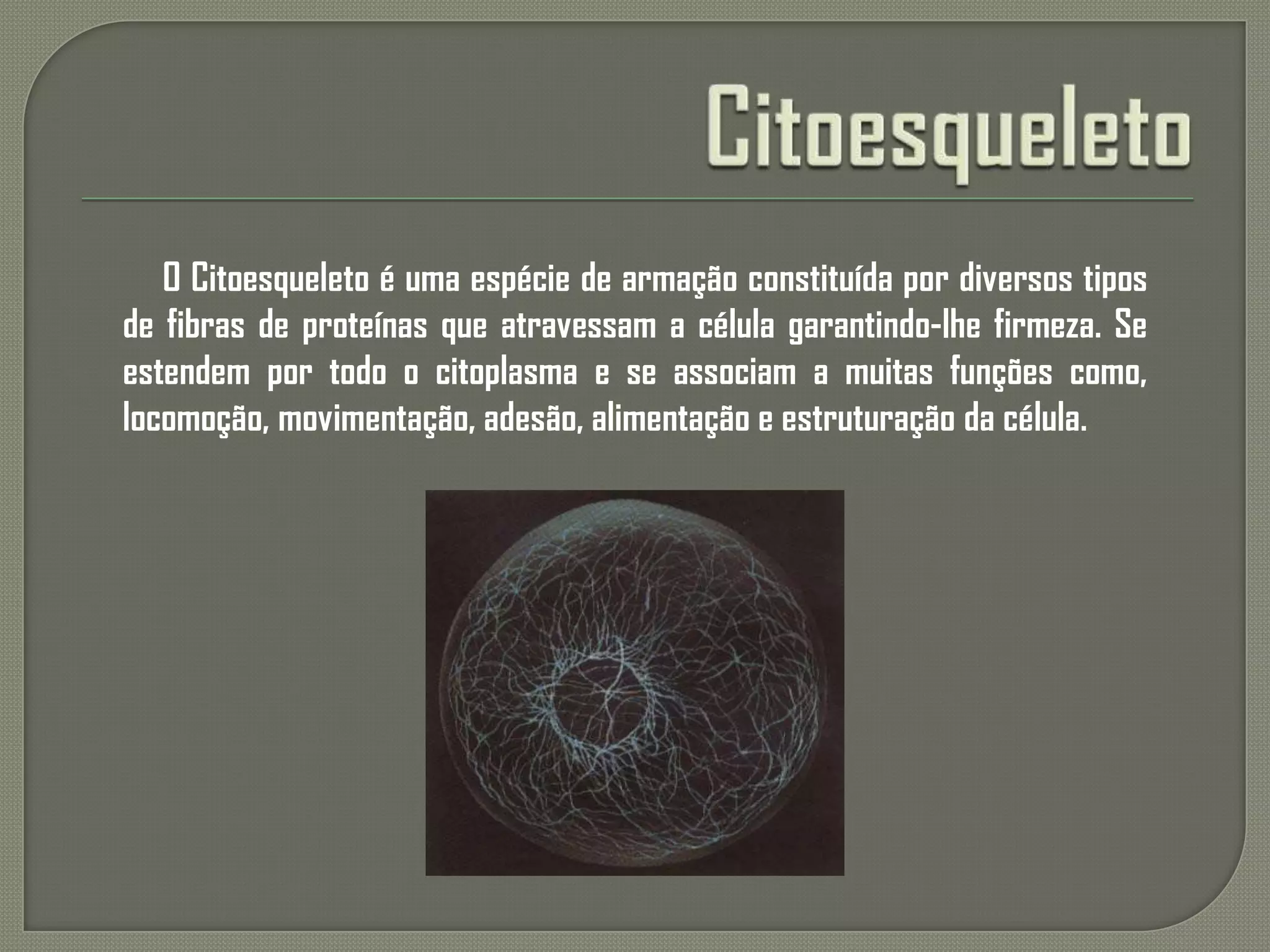 Citoesqueleto | PPT