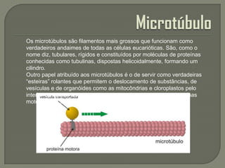 Citoesqueleto | PPTX
