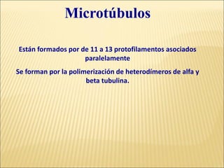 Citoesqueleto | PDF