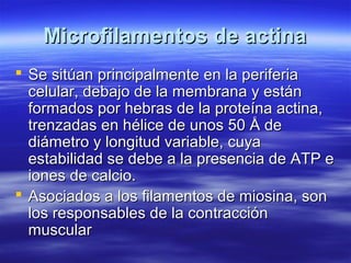 Citoesqueleto | PPT