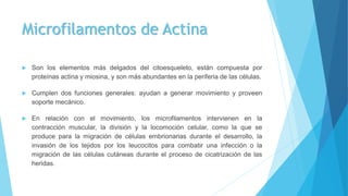 Citoesqueleto.pdf