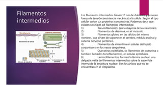 Citoesqueleto y-alzheimer | PPTX