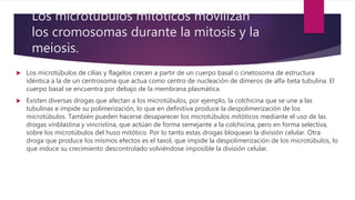 Citoesqueleto y-alzheimer | PPTX