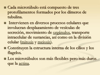 Citoesqueleto | PPT