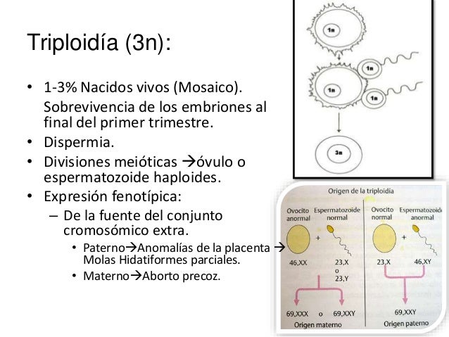 Citogenética clínica
