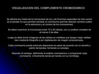 Citogenética - estudio de los cromosomas.ppt