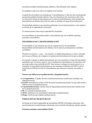 Citología microscopía. técnicas. organelos. mitosis y meiosis | PDF
