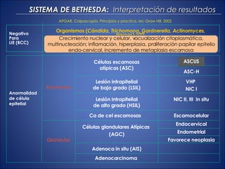 Citología Cervico-Vaginal, Interpretación | PPT