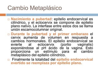 Citología cervical | PPTX