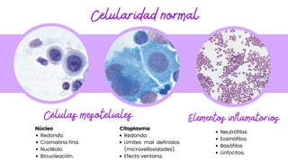 Citología de líquidos y derrames. Patologías Benignas y Malignas. | PDF