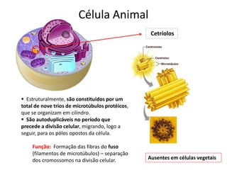 Citologia | PDF