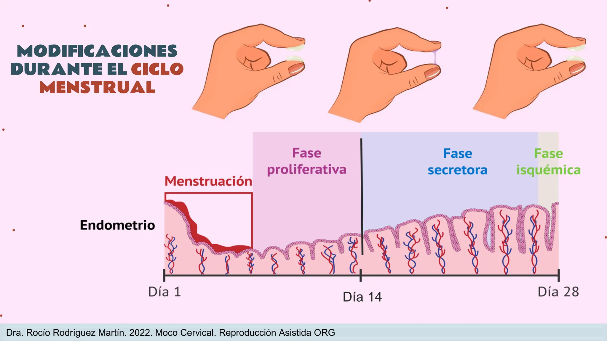 Citologia. Colposcopia. Flujo cervical.pdf