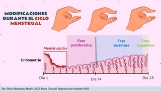 Citologia. Colposcopia. Flujo cervical.pdf