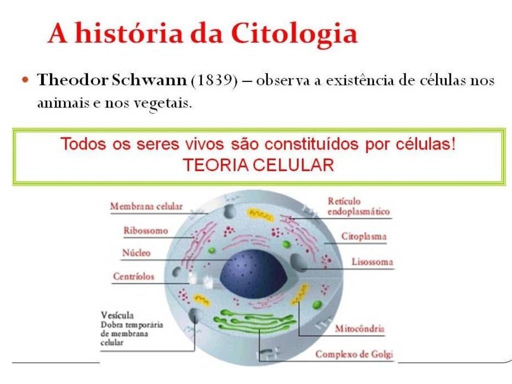 O Que Estuda A Citologia - BRAINCP