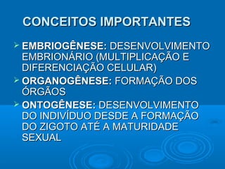 Embriologia | PPT