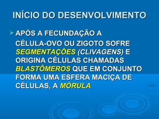 Embriologia | PPT