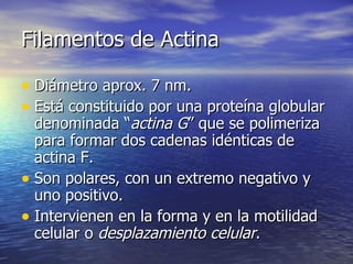 Citologia membrana plasmática - citoesqueleto | PPT | Biological ...