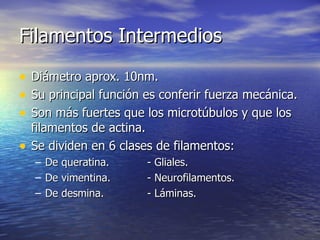 Citologia membrana plasmática - citoesqueleto | PPT