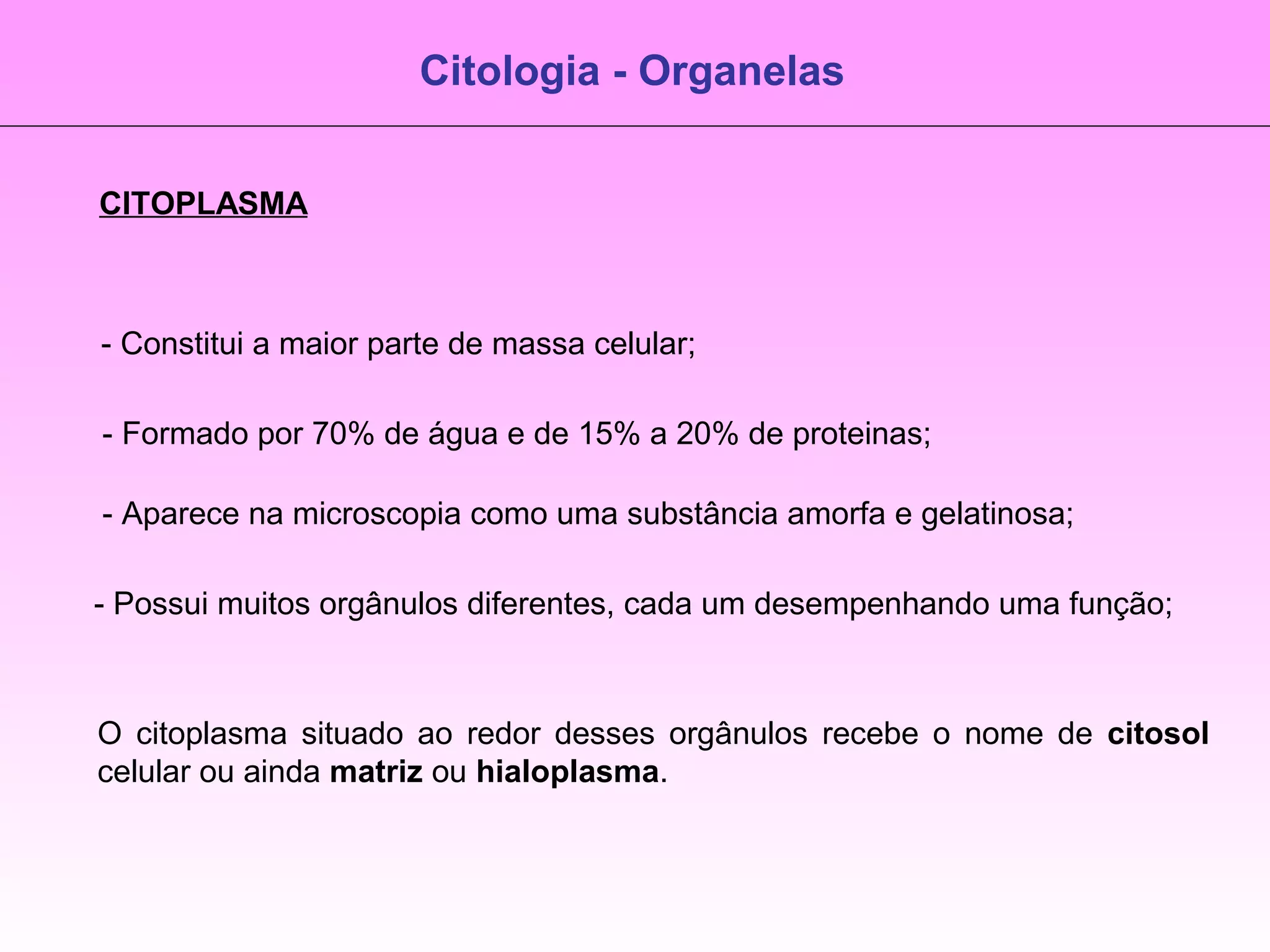 Citologia organelas | PPT