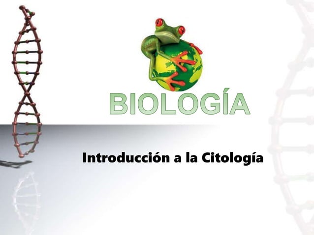 estudo de la citologia introduccion a la citologia | PPT