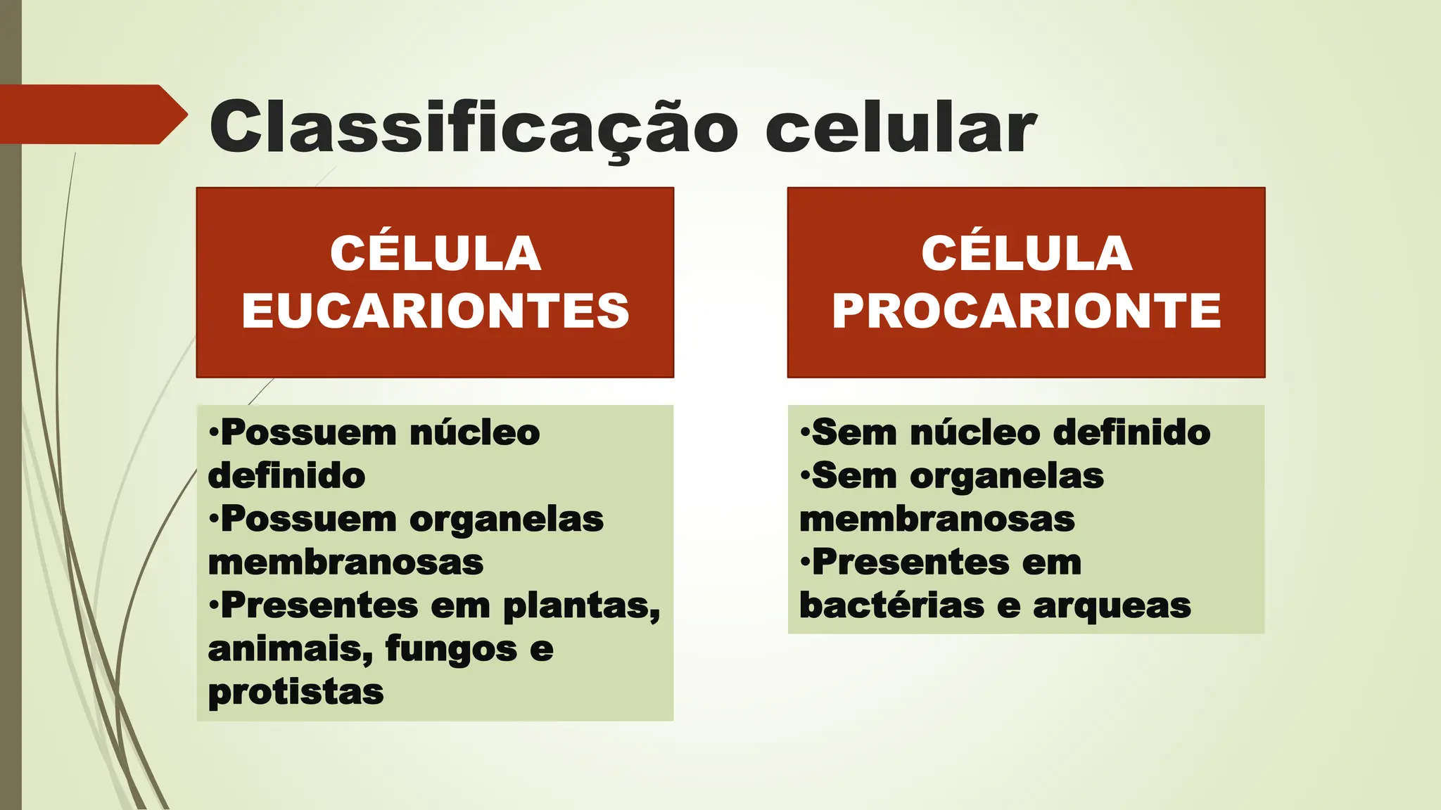 CITOLOGIA HUMANA CÉLULA EUCARIOTICA E PROCARIOTICA.pdf