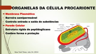 CITOLOGIA HUMANA CÉLULA EUCARIOTICA E PROCARIOTICA.pdf