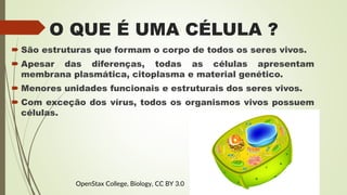 CITOLOGIA HUMANA CÉLULA EUCARIOTICA E PROCARIOTICA.pdf