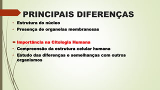 CITOLOGIA HUMANA CÉLULA EUCARIOTICA E PROCARIOTICA.pdf
