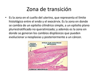 Citologia normal | PPTX