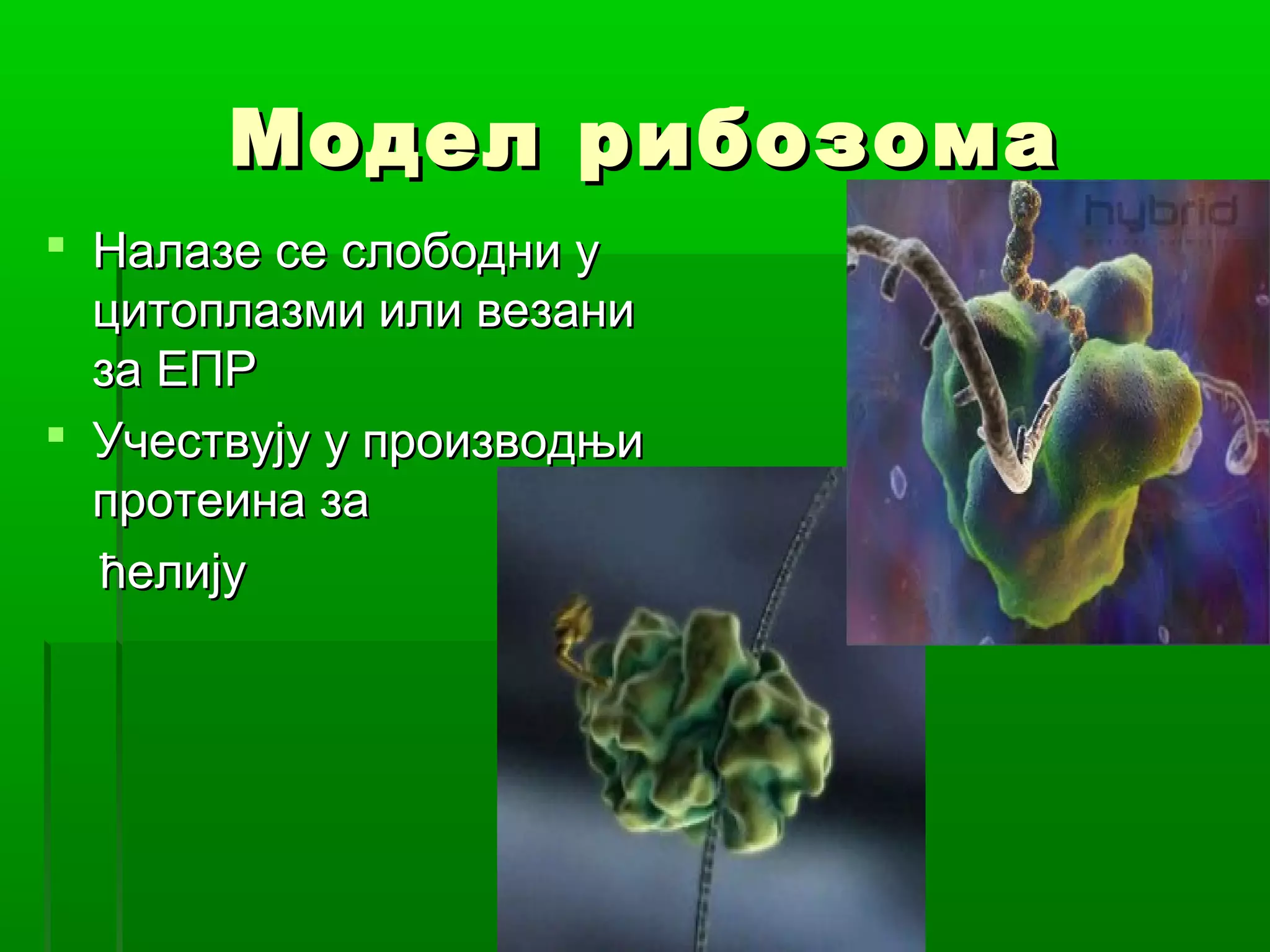 Citologija i histologija | PPT